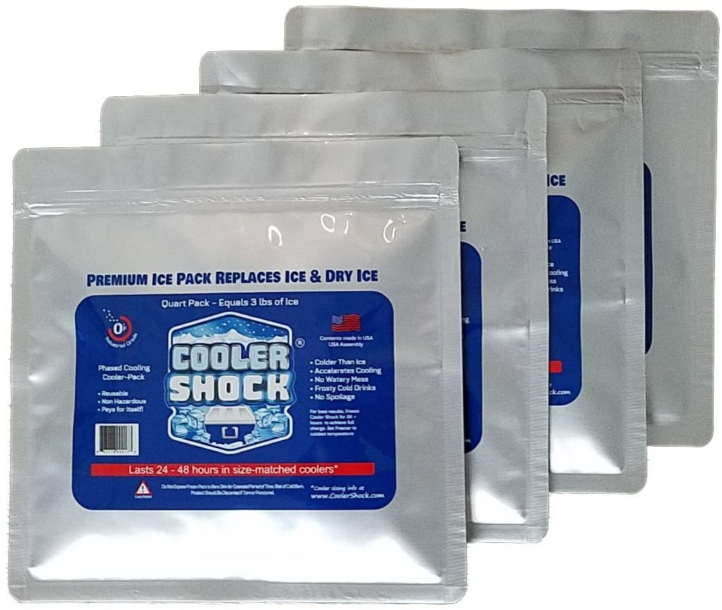 Best Ice Packs for Coolers [2026 Review] The Cooler Talks